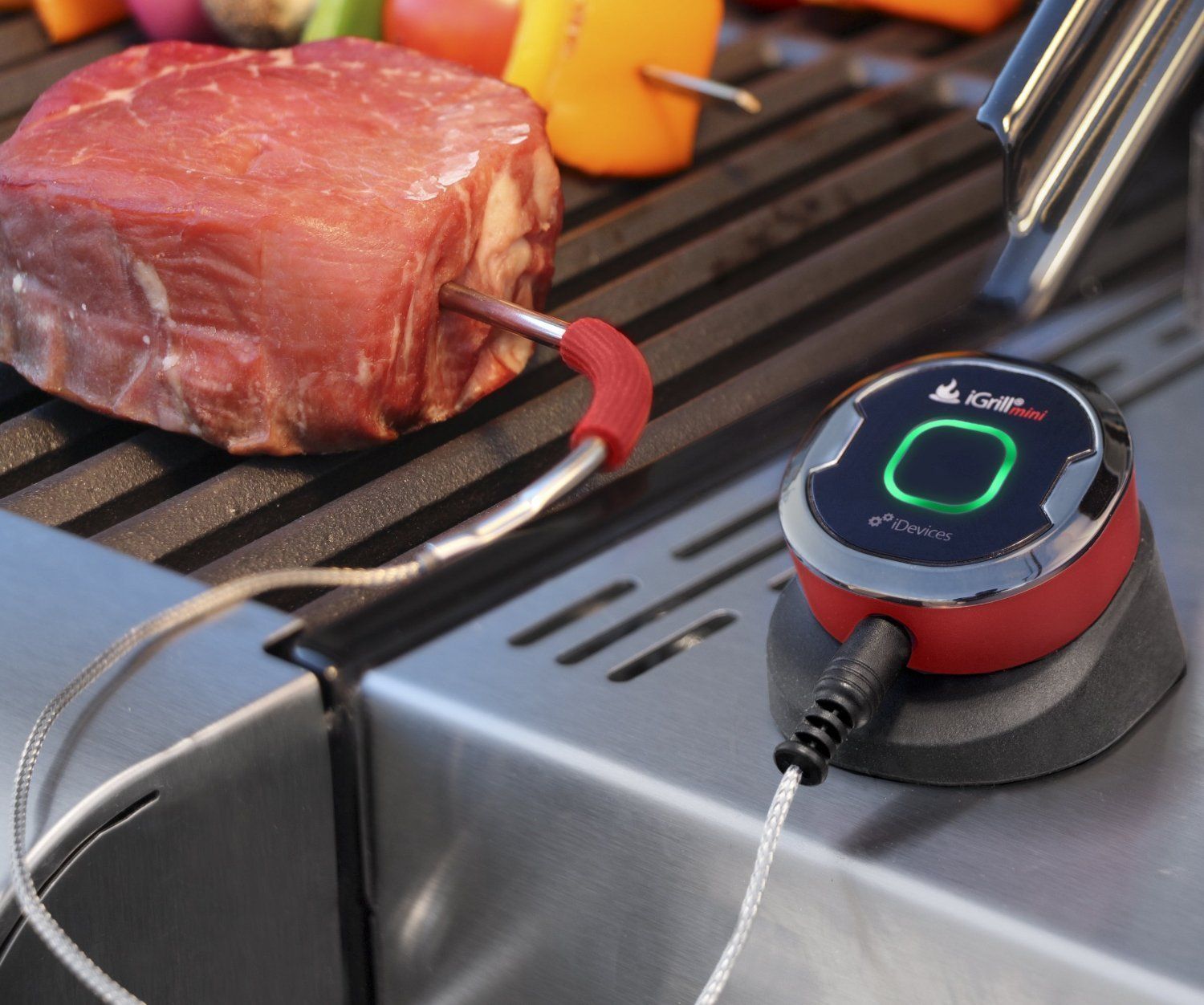 Grillthermometer Test + Vergleich 2024 ᐅ TÜV-zertifiziert