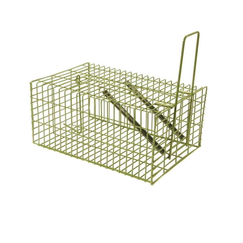 Mausefalle Test + Vergleich 2021 ᐅ TÜV-zertifiziert