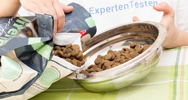 Hundefutter Test + Vergleich 2021 ᐅ TÜV-zertifiziert