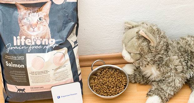 Katzenfutter Test + Vergleich 2021 ᐅ TÜV-zertifiziert