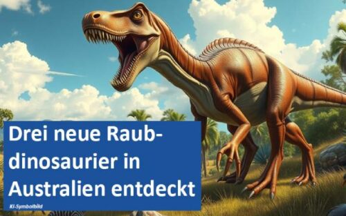 Drei neue Raubdinosaurier in Australien entdeckt – ExpertenTesten.de